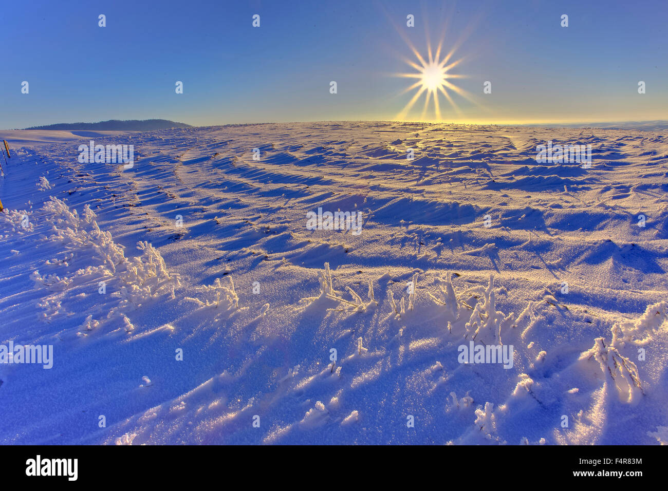 USA, United States, America, Pacific Northwest, Washington, Palouse ...