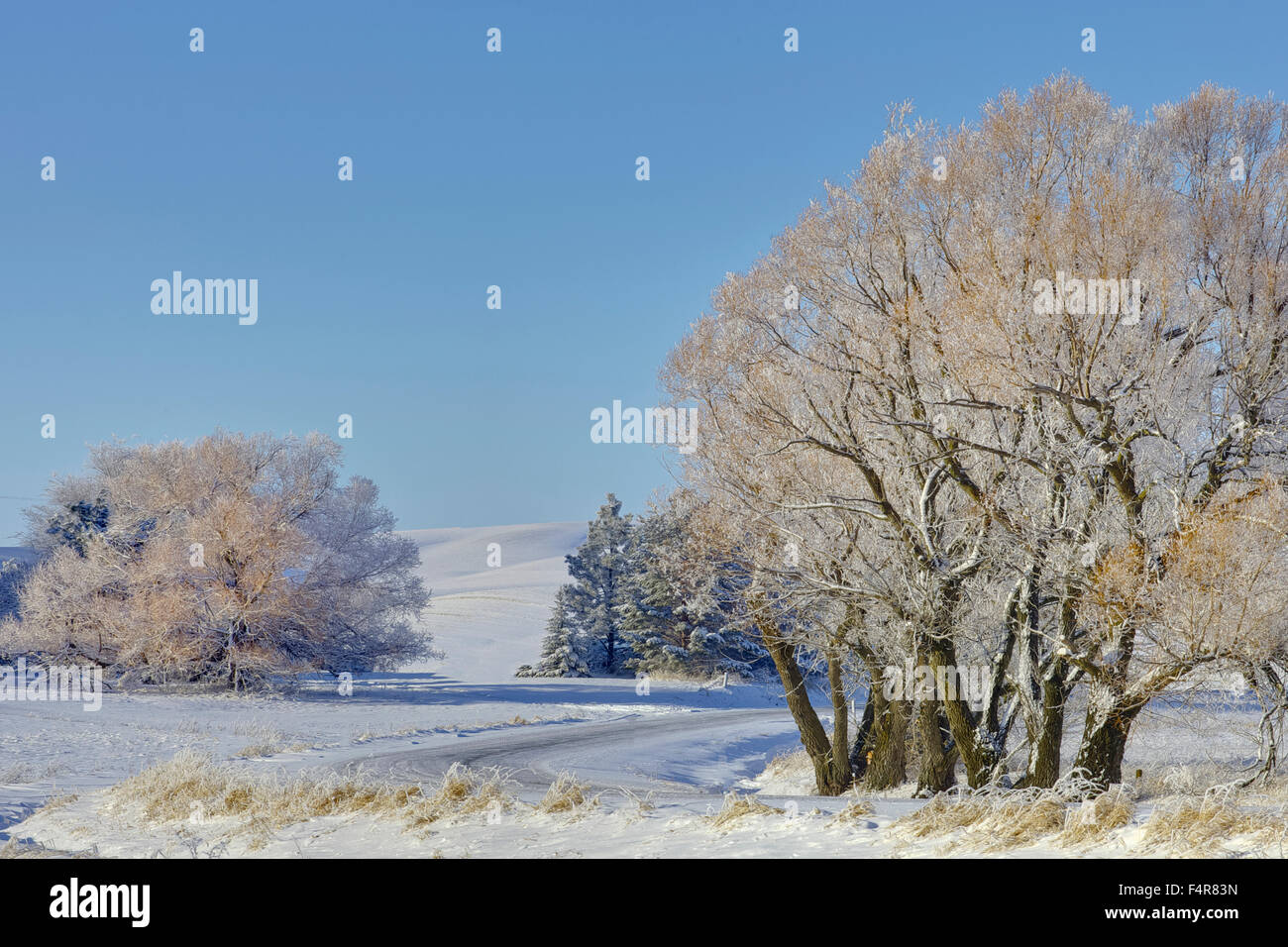USA, United States, America, Pacific Northwest, Washington, Palouse ...