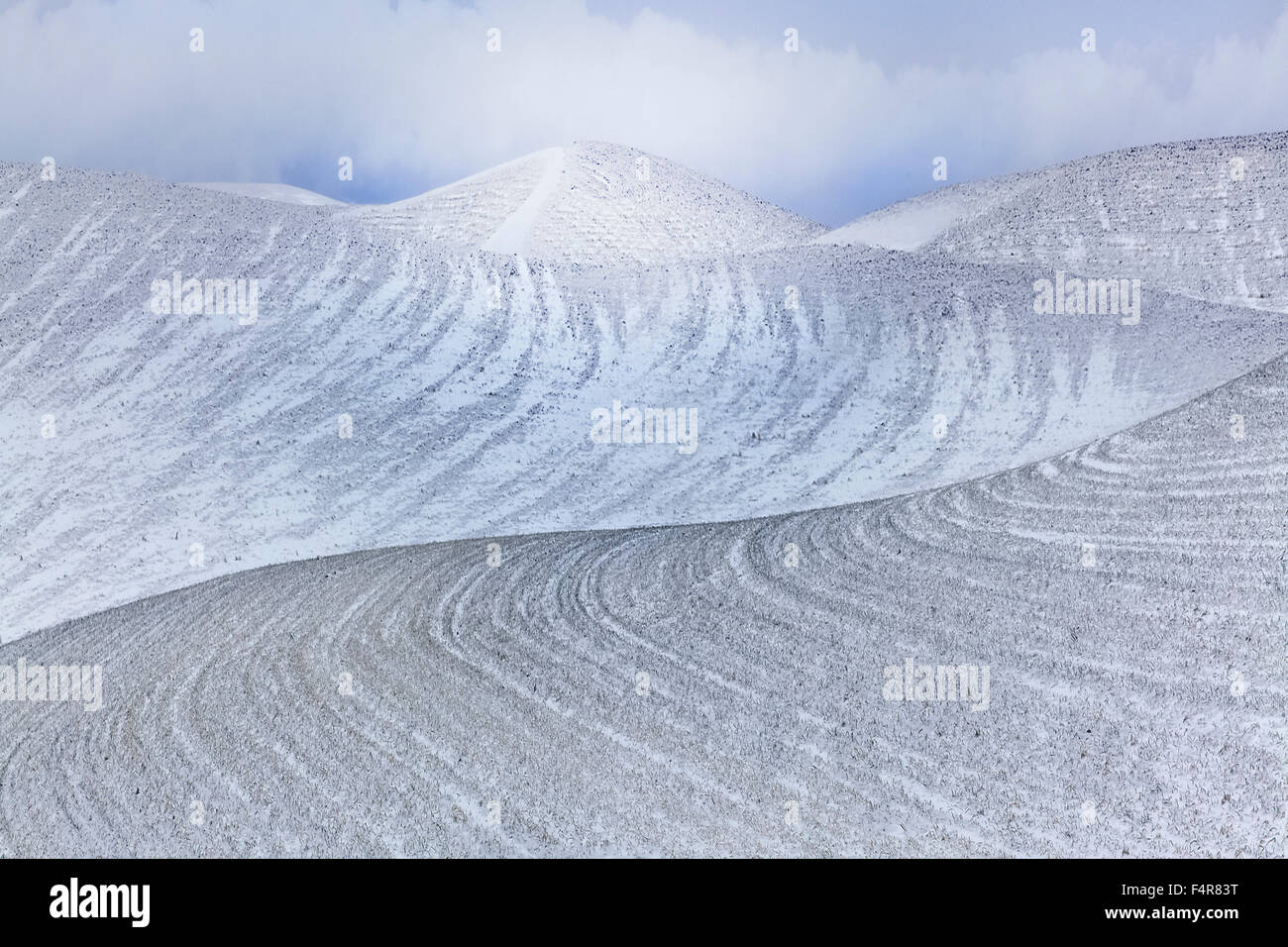 USA, United States, America, Pacific Northwest, Washington, Palouse ...