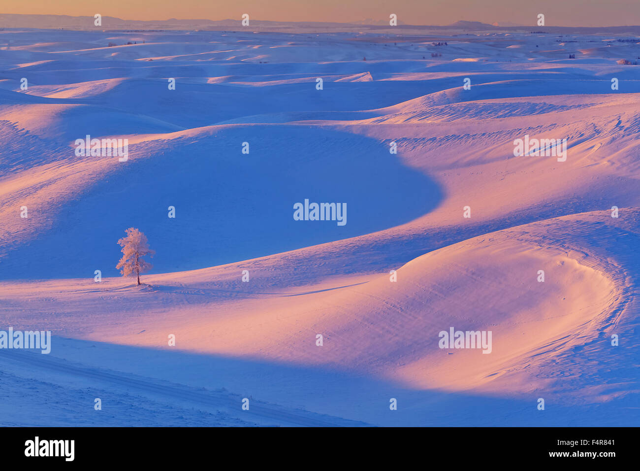 USA, United States, America, Pacific Northwest, Washington, Palouse ...