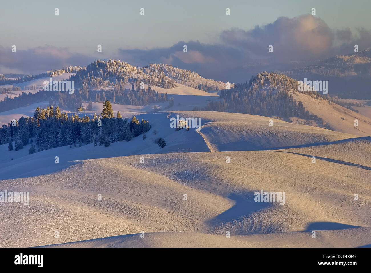 USA, United States, America, Pacific Northwest, Washington, Palouse ...