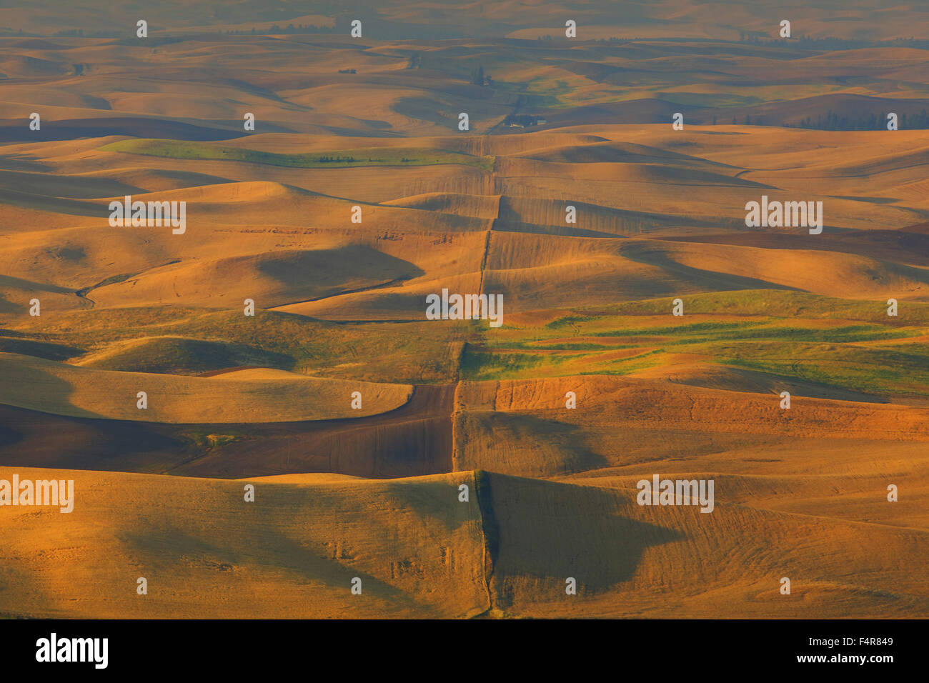 Palouse, rural, fields, Steptoe Butte, rolling hills, Spring, Eastern ...