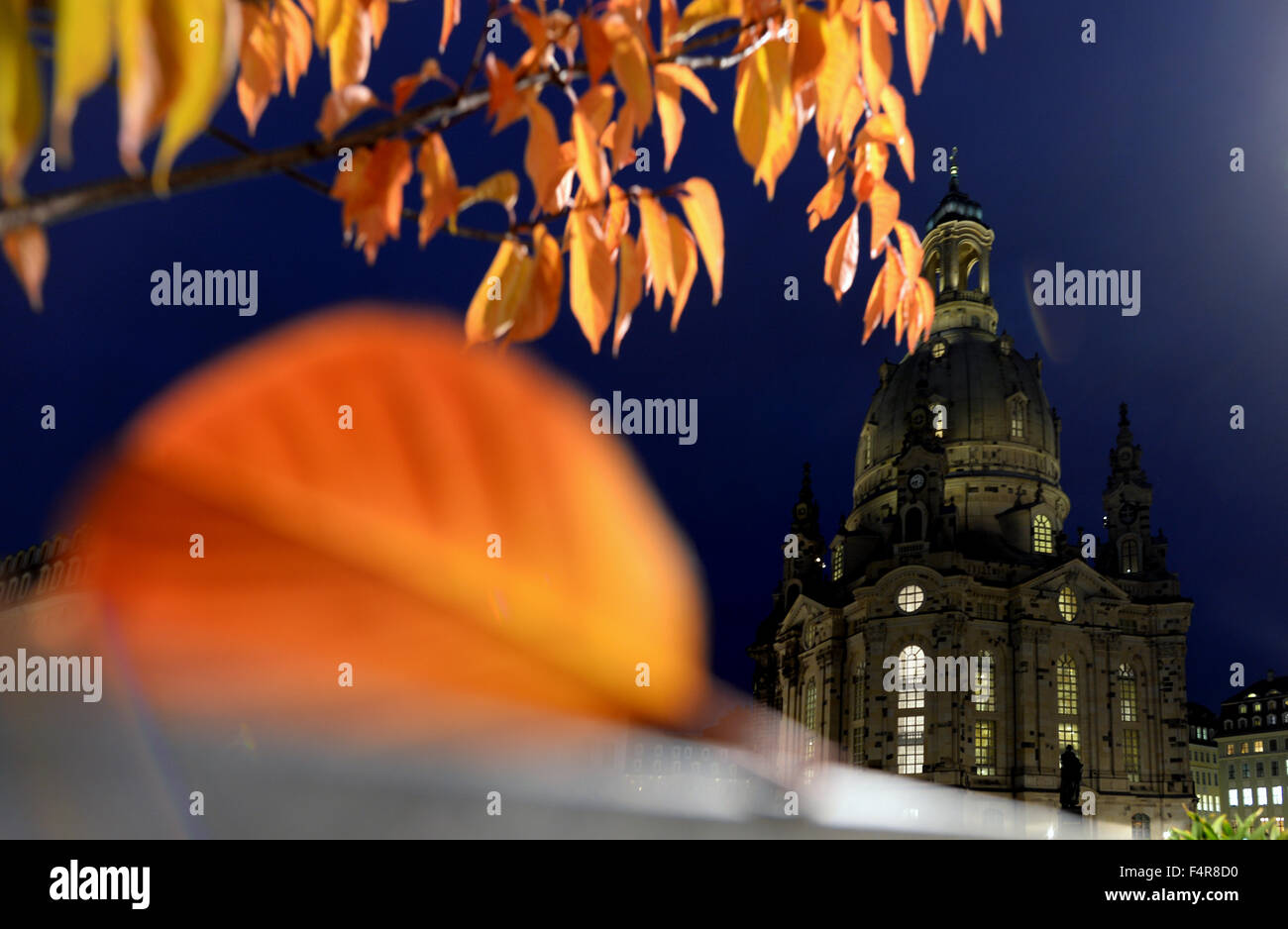 Dresden, Germany. 21st Oct, 2015. A tree's autumn leaves can be seen in ...