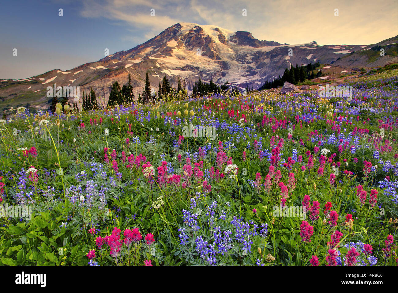 USA, United States, America, Pacific Northwest, Washington, Washington ...