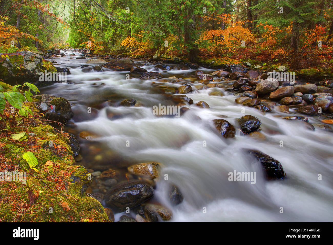 Leavenworth, Central Washington, Wenatchee, Icicle River, fall, autumn ...
