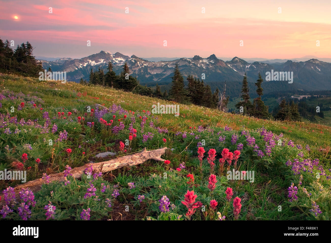 USA, United States, America, Pacific Northwest, Washington, Washington ...