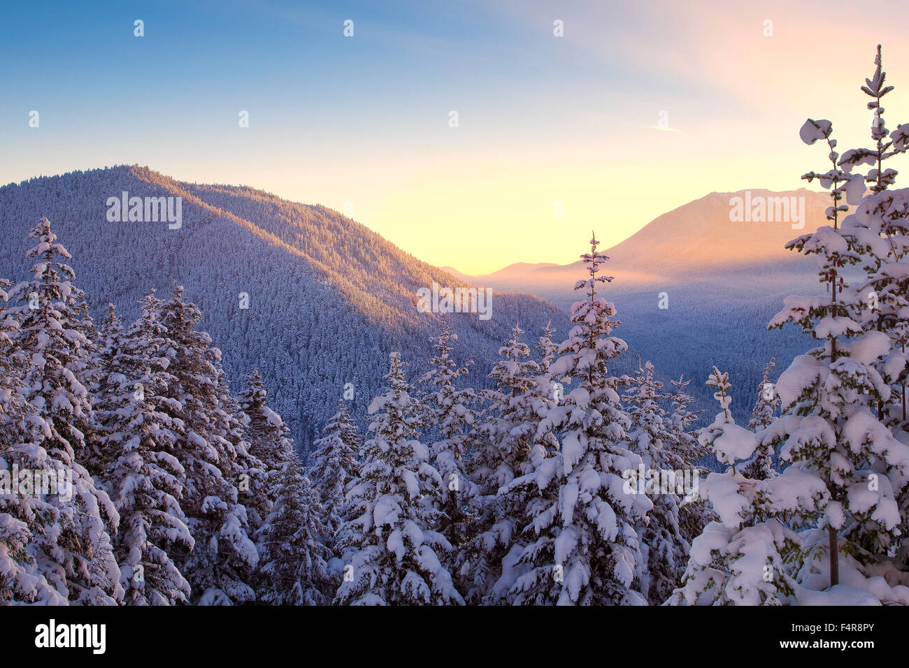 USA, United States, America, Pacific Northwest, Washington, Washington ...