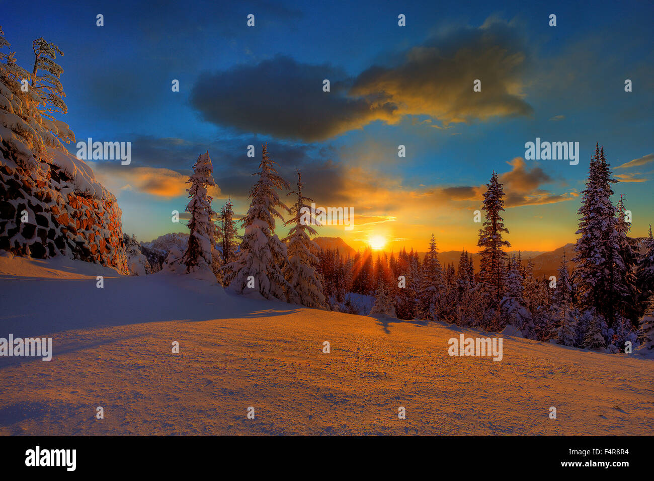 Longmire hi-res stock photography and images - Alamy
