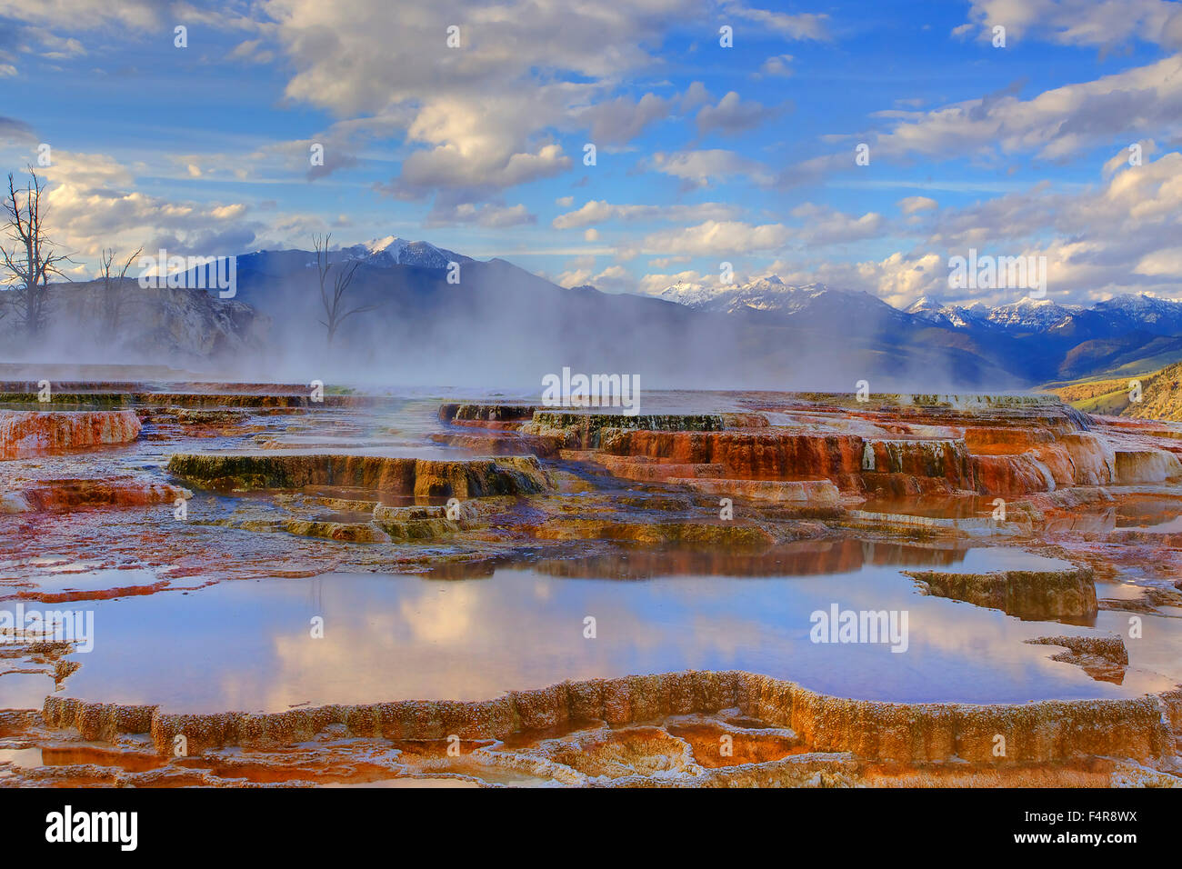 USA, United States, America, Wyoming, Yellowstone, National Park ...