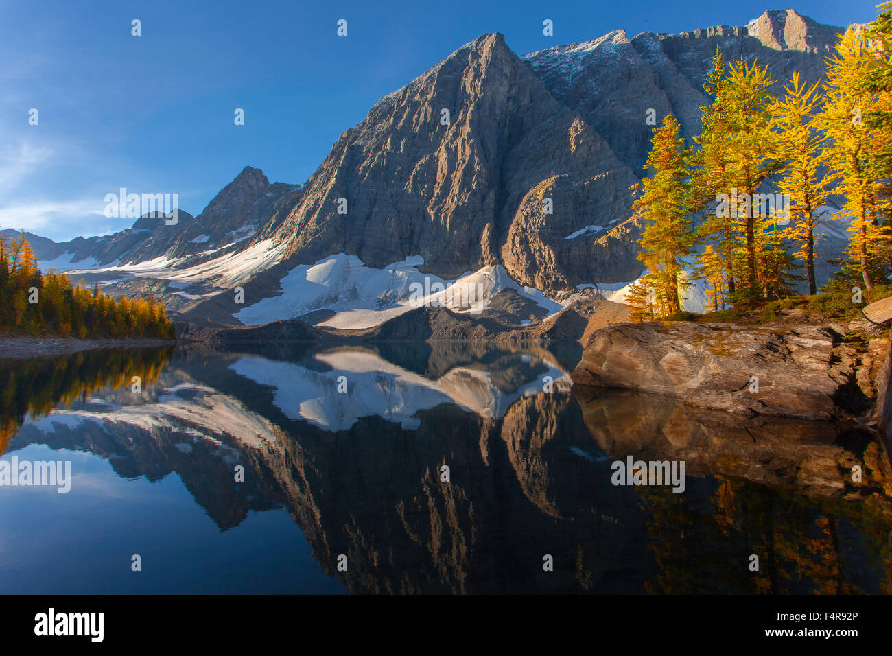 Canada, British Columbia, Yoho, National Park, lake, larch, tree ...