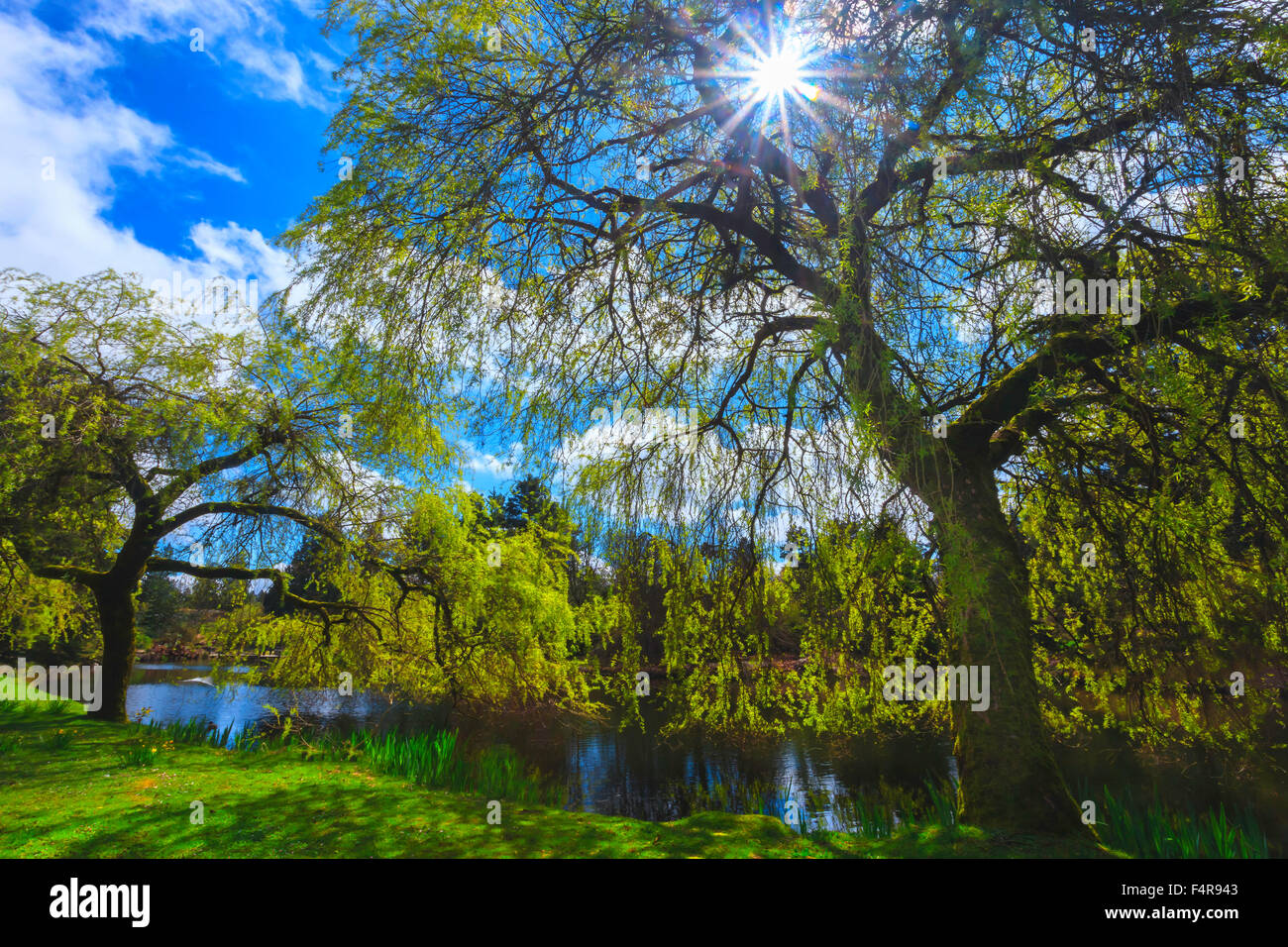 Vandusen hi-res stock photography and images - Alamy