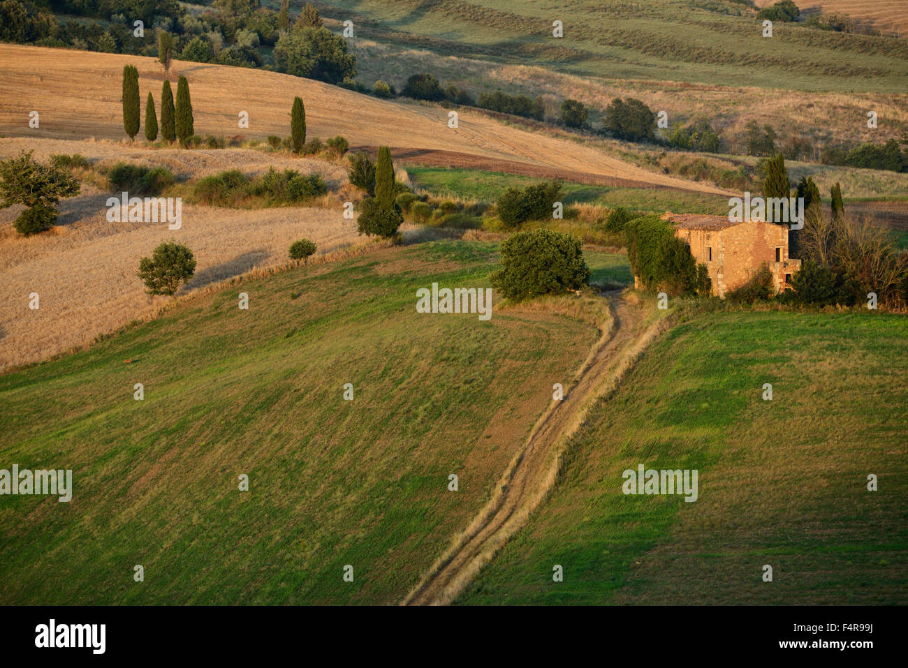 Europe, Italy, Toscana, Tuscany, farm, house, landscape, field Stock ...