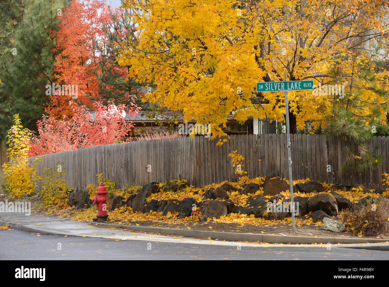 America fall foliage hi-res stock photography and images - Alamy