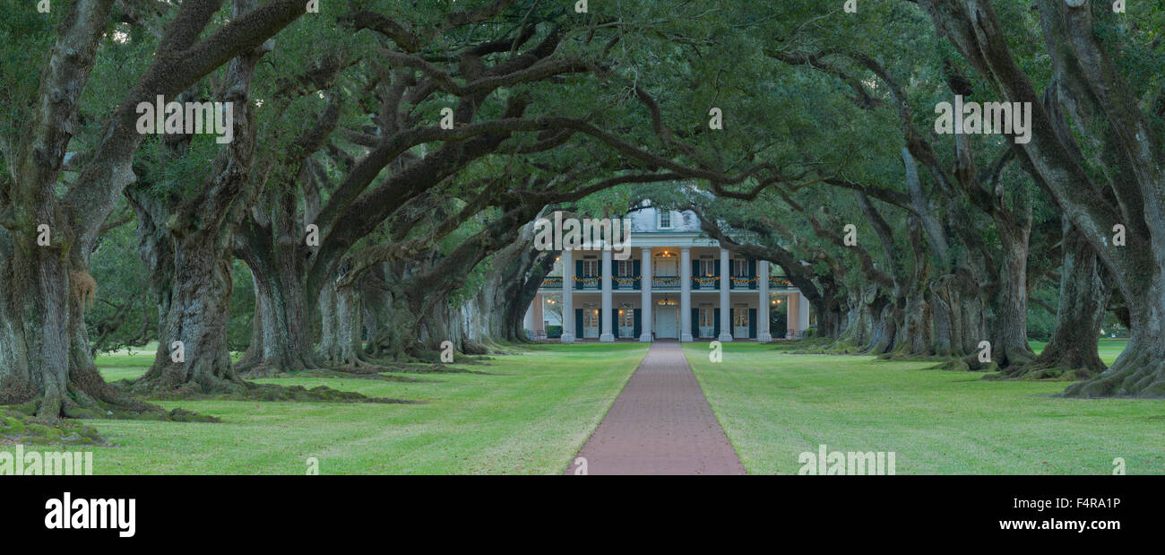 USA, United States, America, Louisiana, St. James Parish, Vacherie, Oak ...