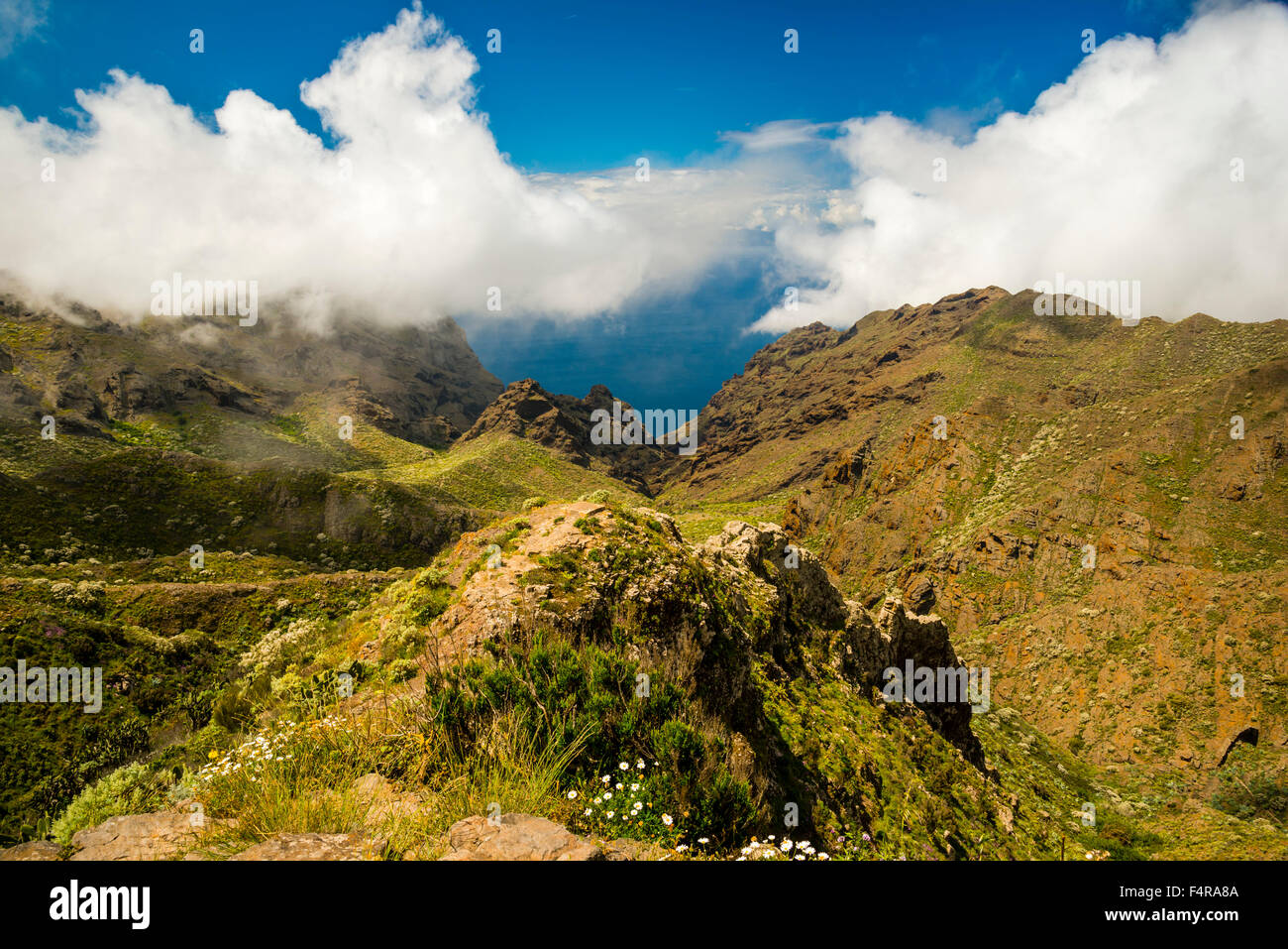 Outside, mountain, mountains, mountain landscape, Canarias, Europe ...