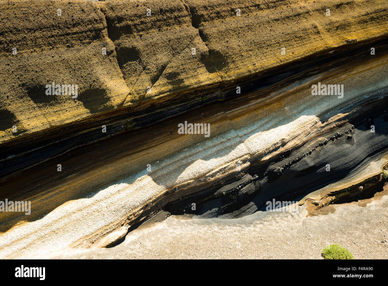 Sputum material hi-res stock photography and images - Alamy