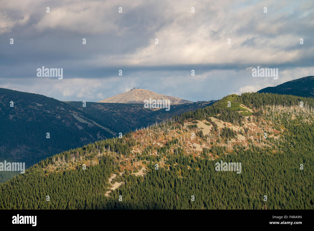 Krkonose National Park, Giant Mountains National Park, Eastern Bohemia ...