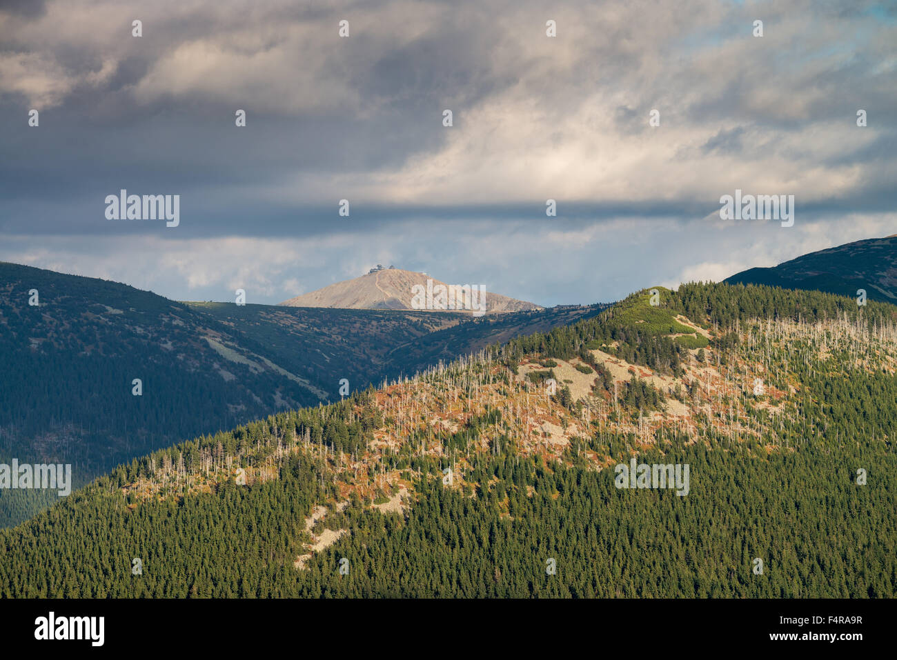 Krkonose National Park, Giant Mountains National Park, Eastern Bohemia ...