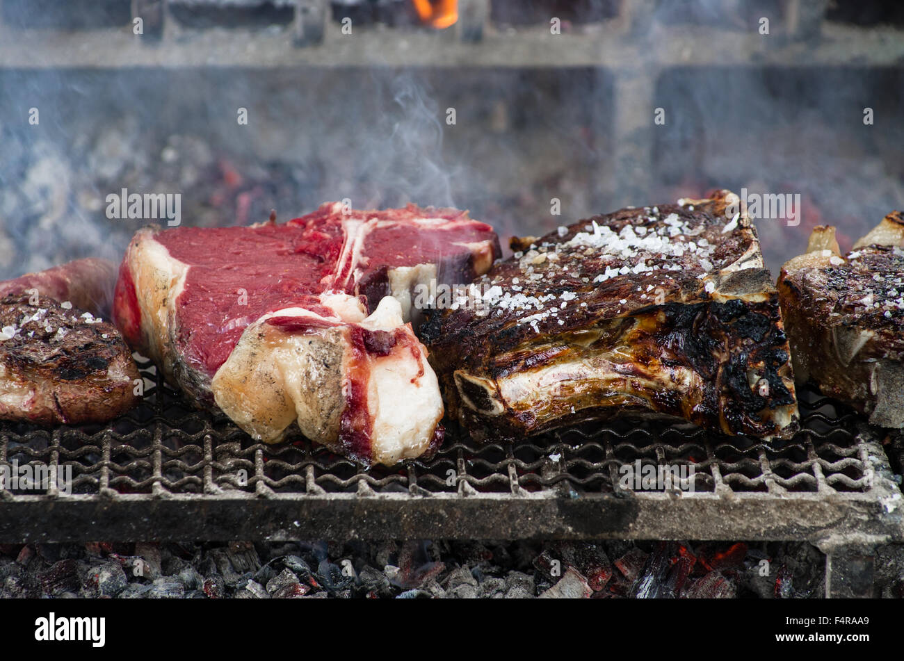 Bovine bone hi-res stock photography and images - Alamy