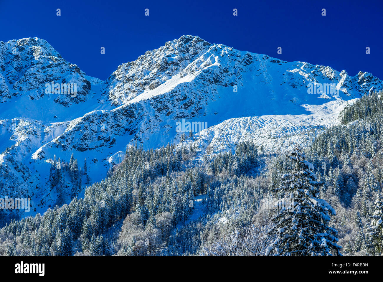 1582, 2164, Allgäu, Allgäuer Alpen, Alps, Outside, trees, Bavarian ...