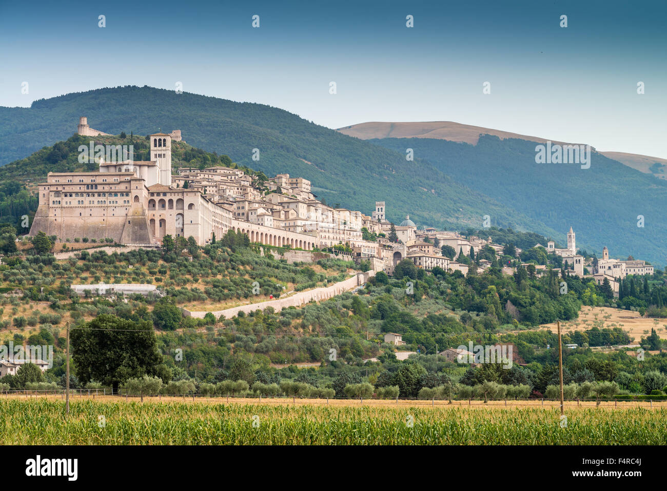 Assisi on hillside with hills behind, Assisi, Umbria, Italy, EU, Europe ...