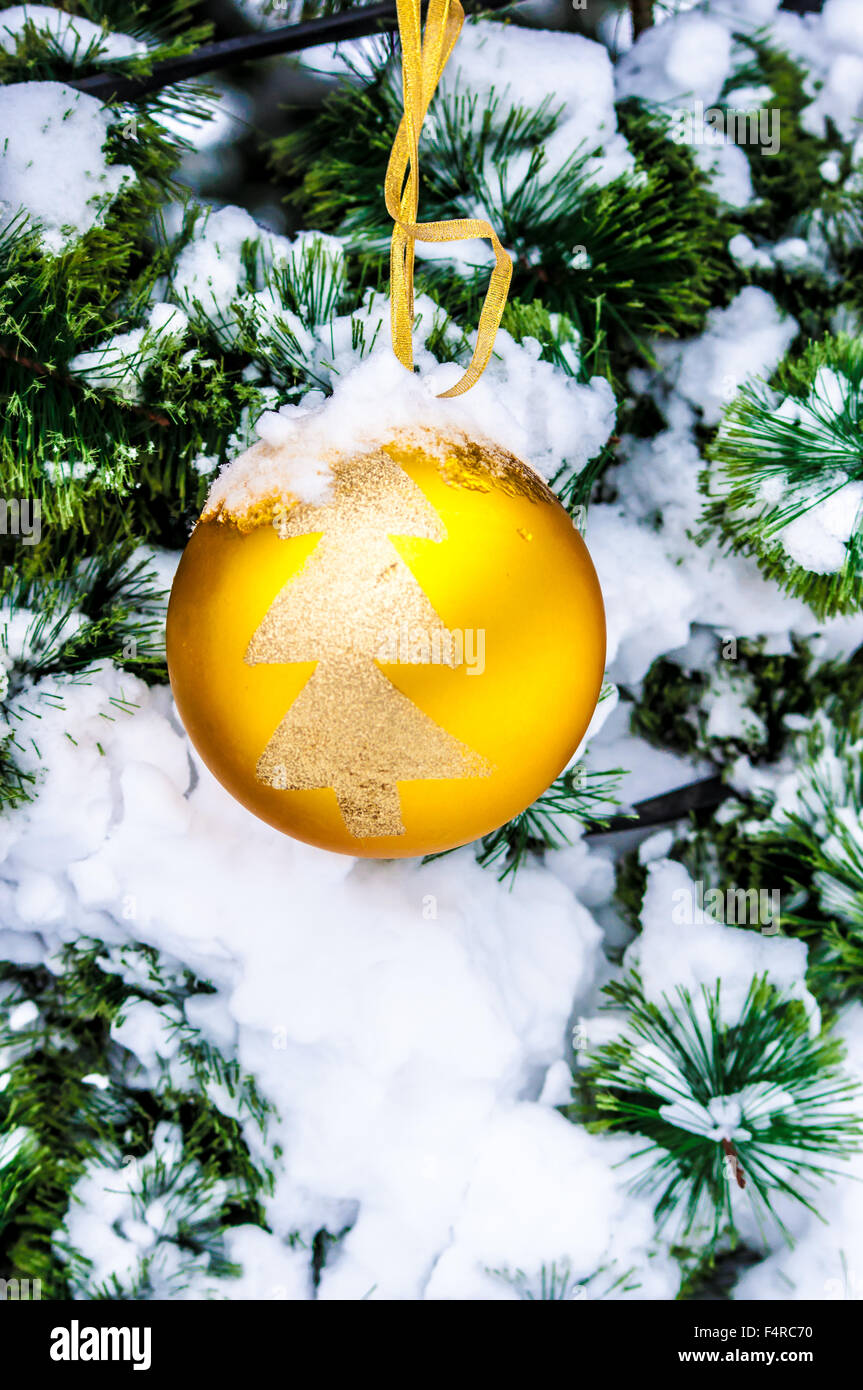 The little fir-tree cold in the winter. Out of the Woods we Took home ...