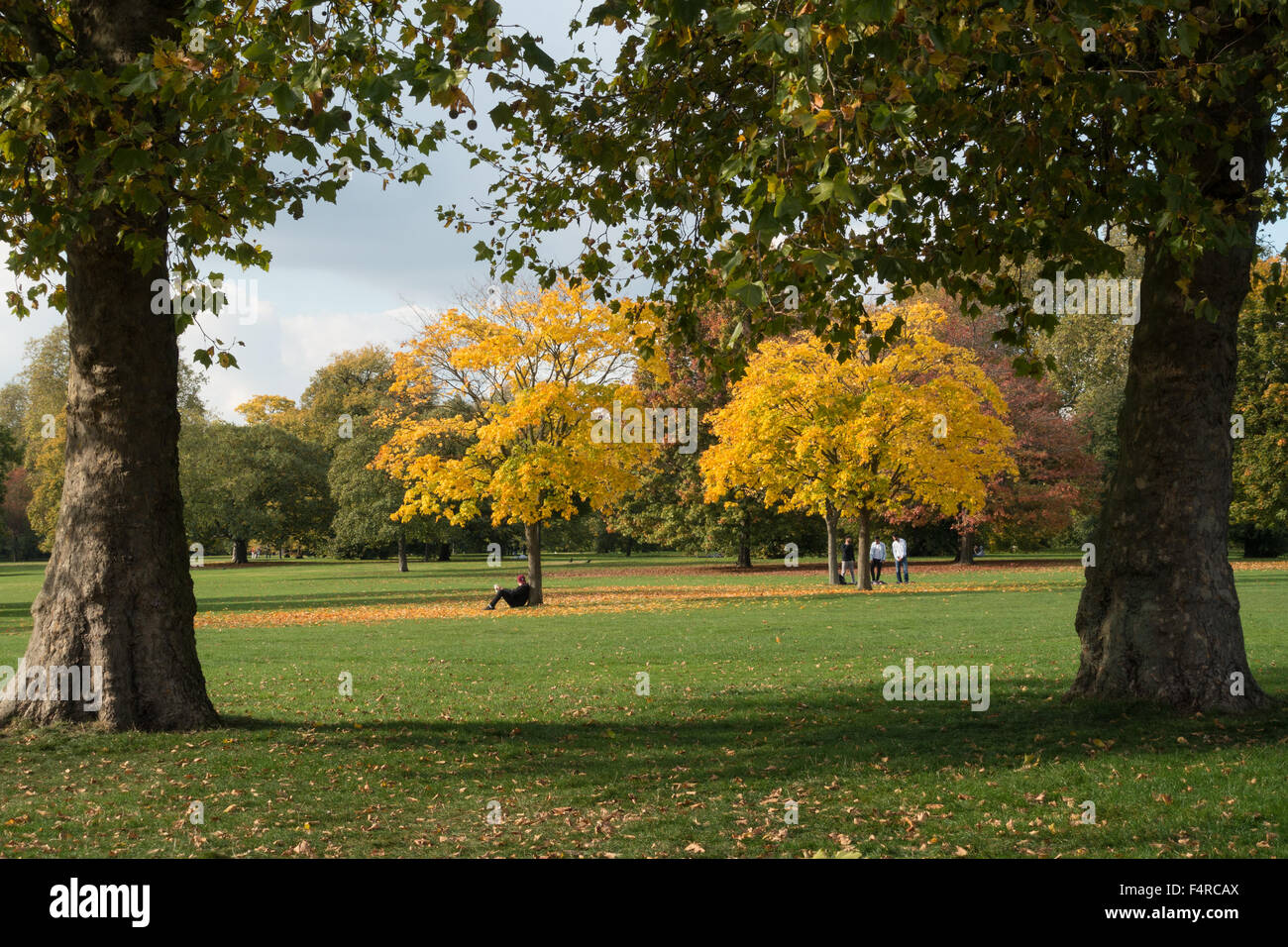 Autumn trees in Kensington Gardens, London Stock Photo - Alamy
