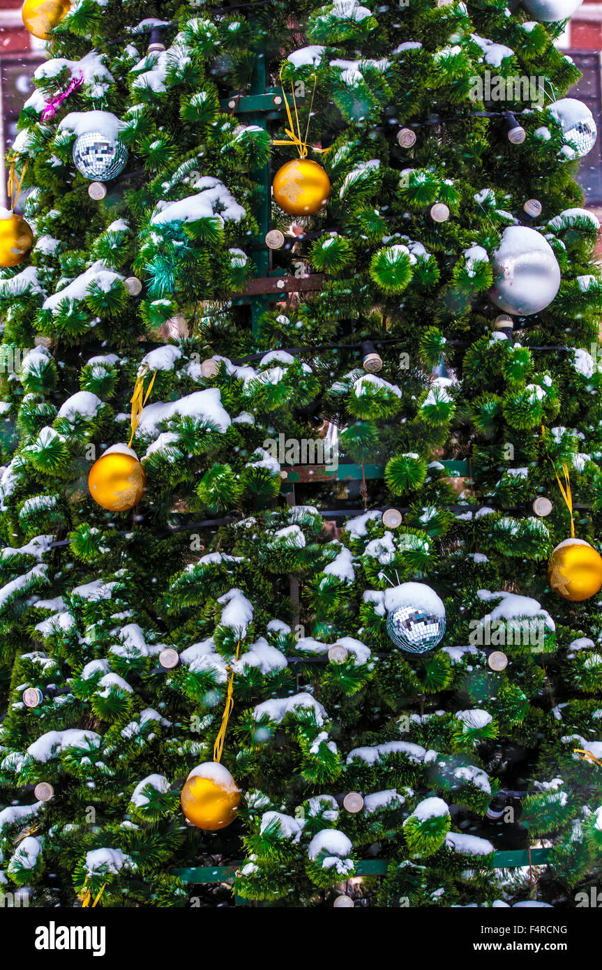 The little fir-tree cold in the winter. Out of the Woods we Took home ...