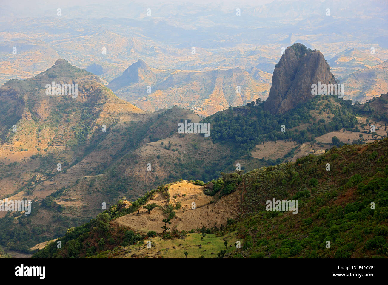 Abyssinia High Resolution Stock Photography and Images - Alamy