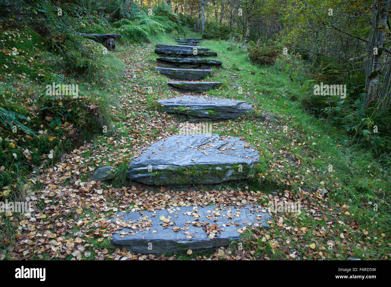 Slate steps, North Wales Stock Photo - Alamy