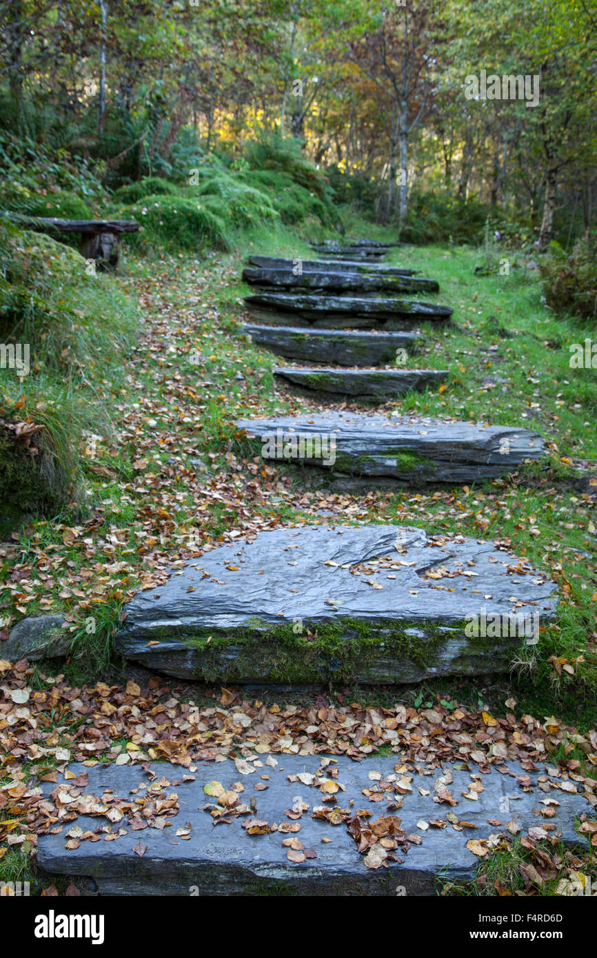 Slate steps hi-res stock photography and images - Alamy