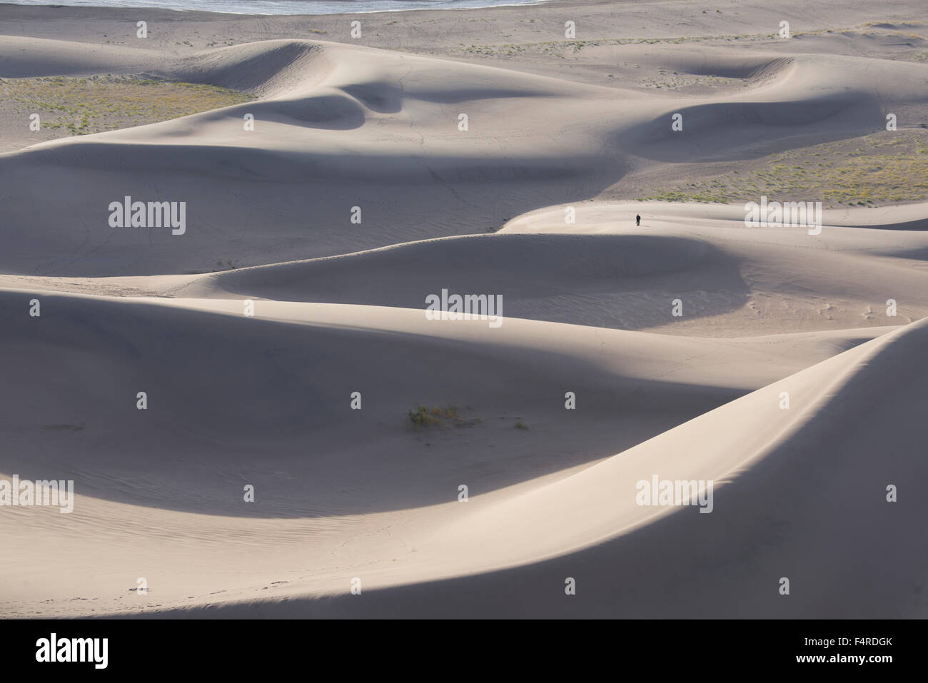 USA, UnitedStates, America, Southwest, Colorado, Alamosa County, Great ...