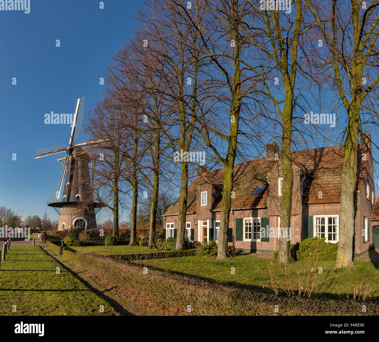 Netherlands, Holland, Europe, windmill, city, village, forest, wood ...