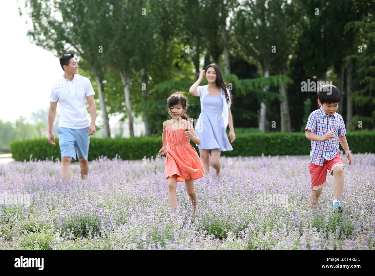 Happy families play in the suburbs Stock Photo - Alamy
