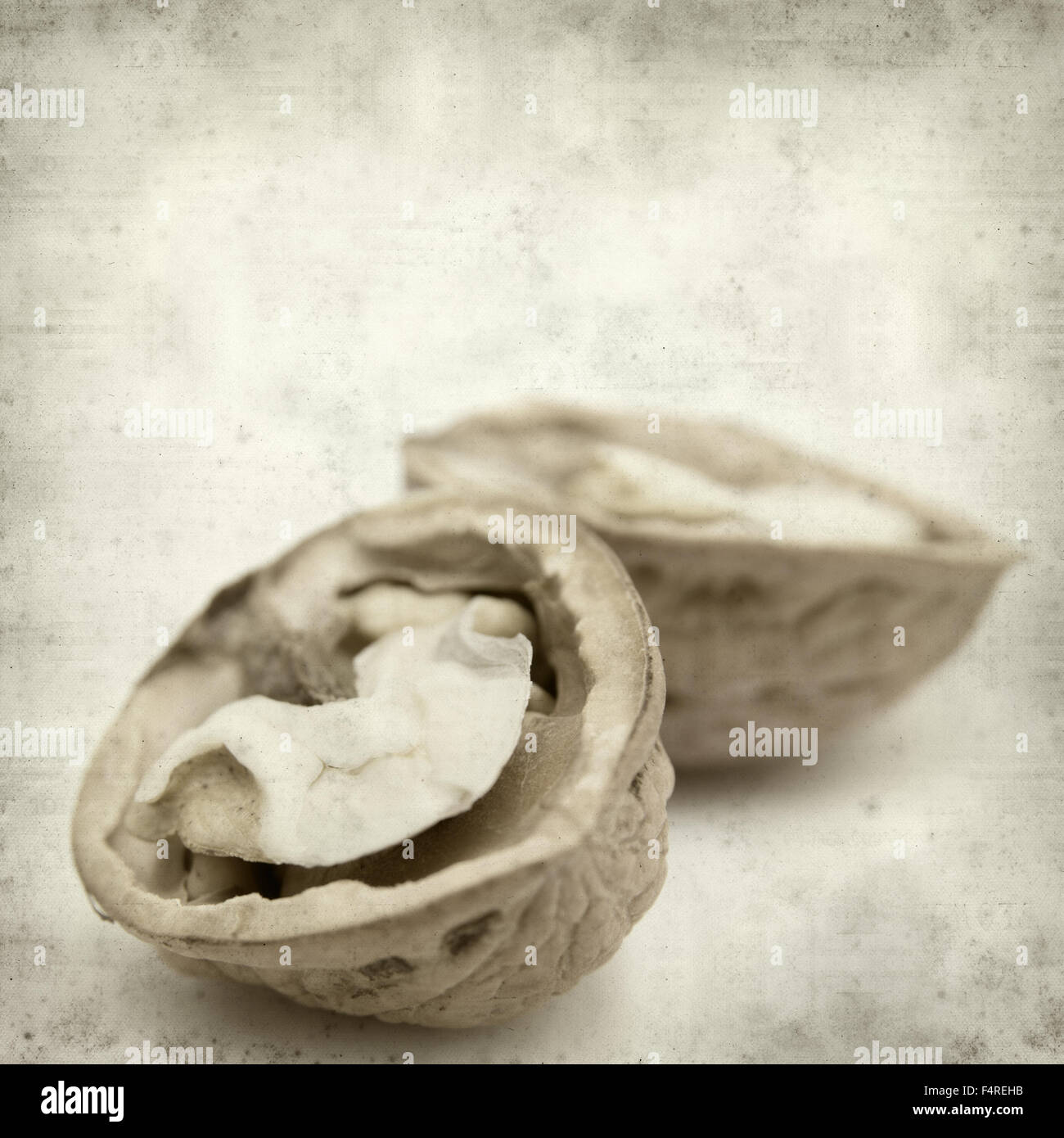 textured old paper background with freshly harvested walnuts Stock ...