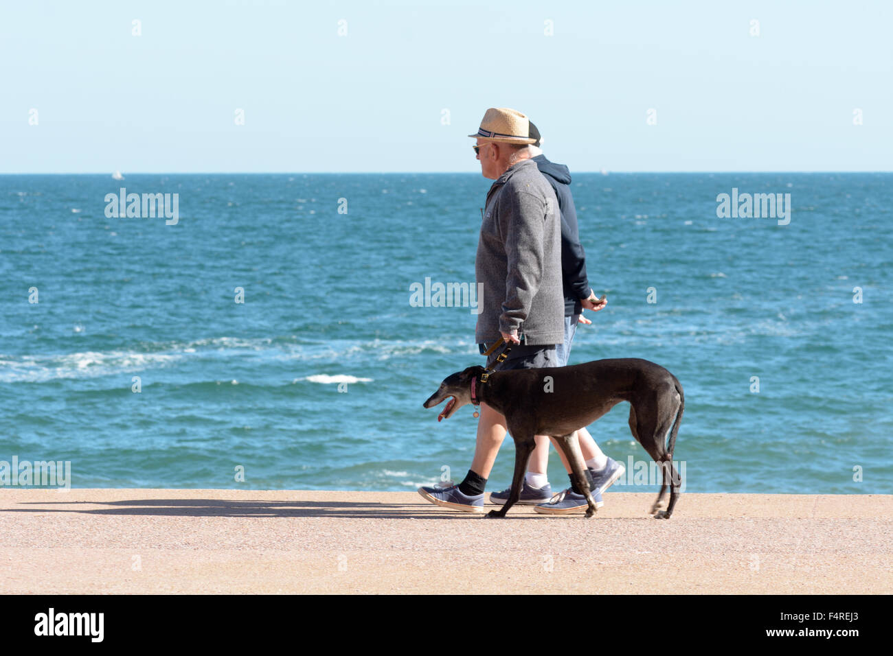 Elderly couple walking their greyhound along the steps at Oddicombe ...