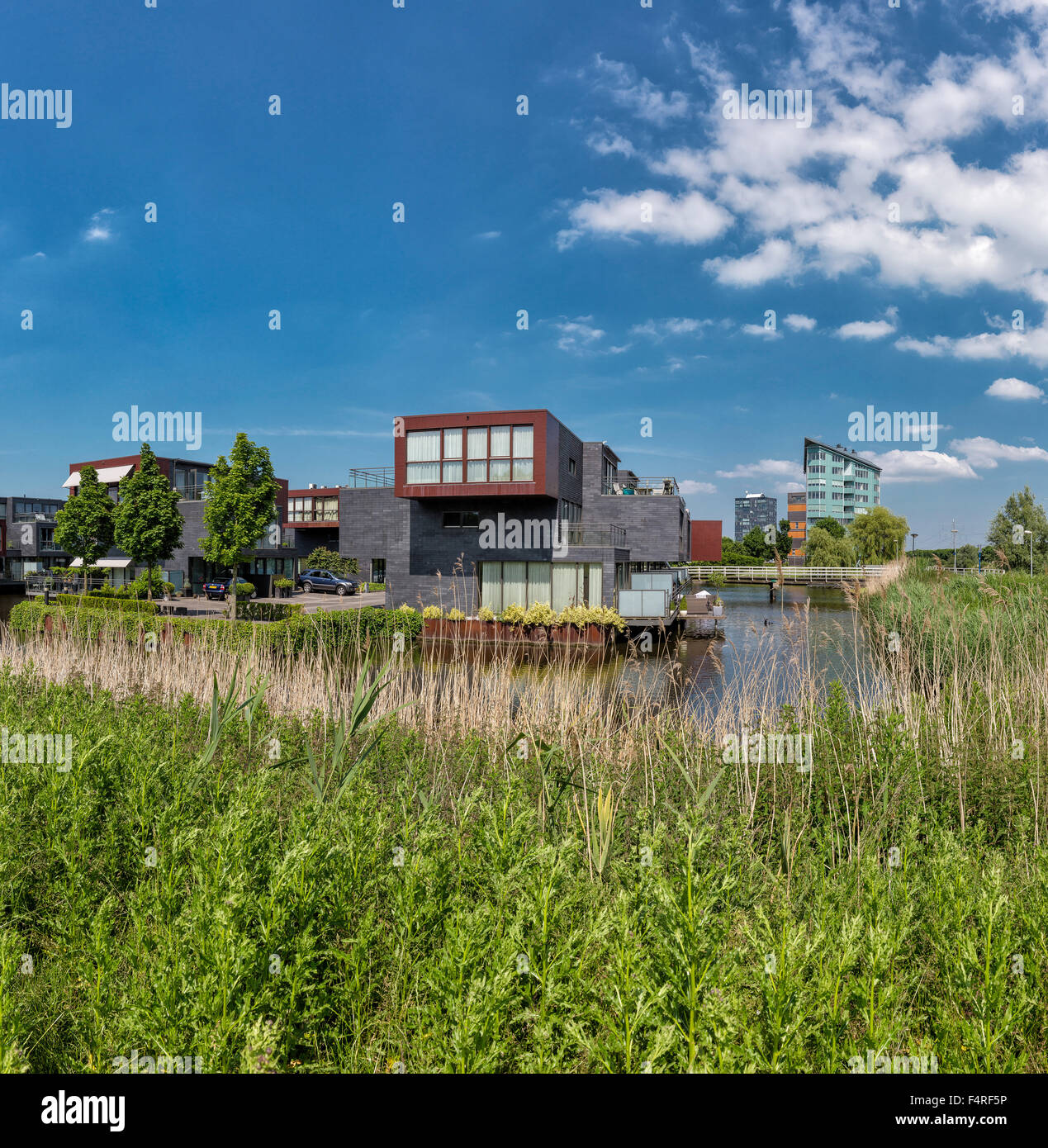 Netherlands, Holland, Europe, village, field, meadow, water, summer ...