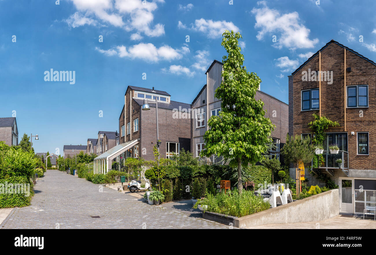 Netherlands, Holland, Europe, village, summer, gardens, Modern, houses ...