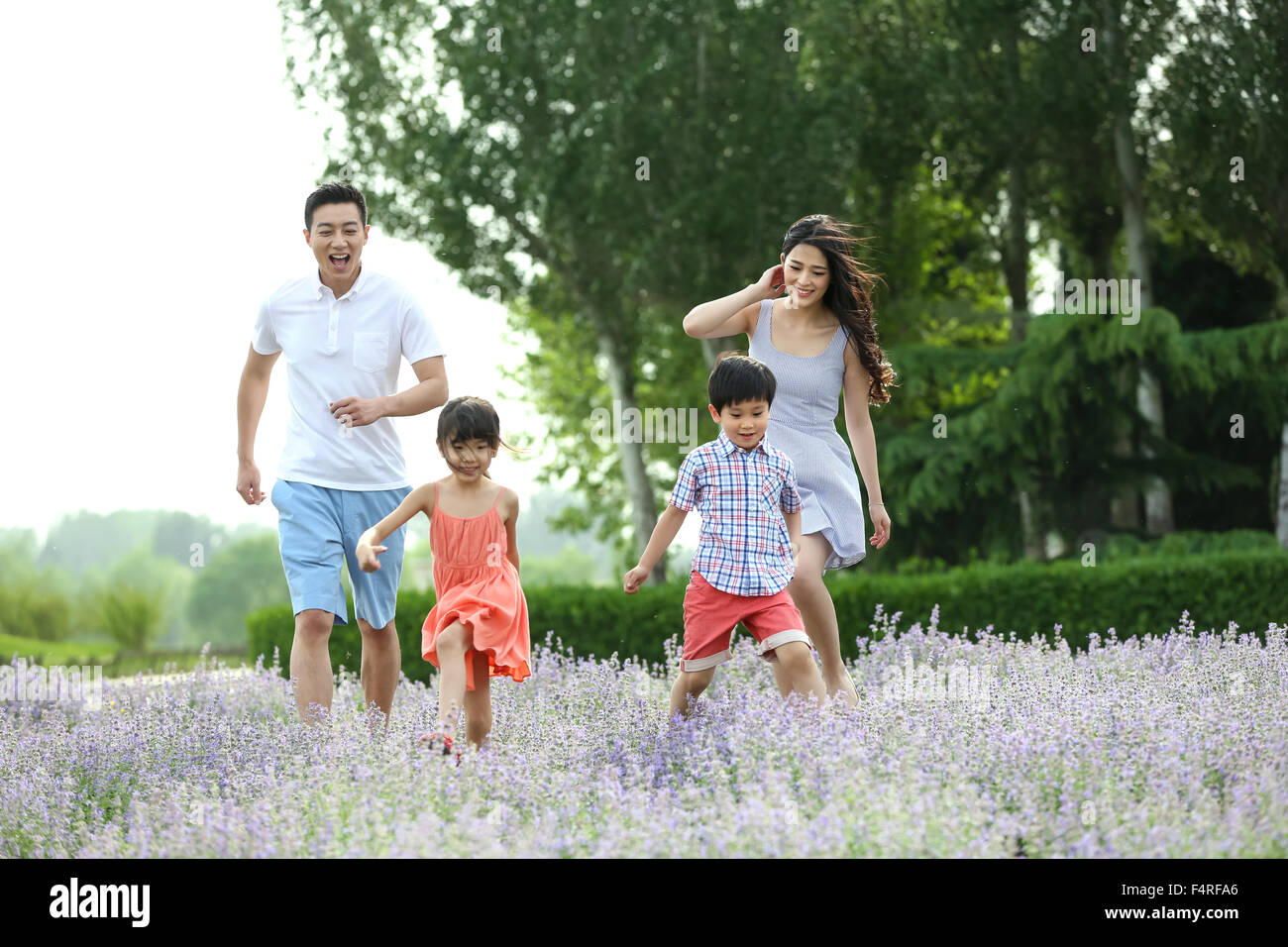 Happy families play in the suburbs Stock Photo - Alamy