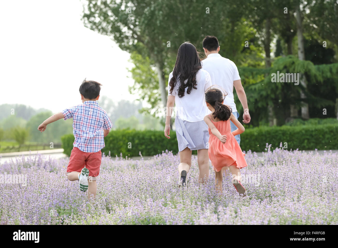 Happy families play in the suburbs Stock Photo - Alamy
