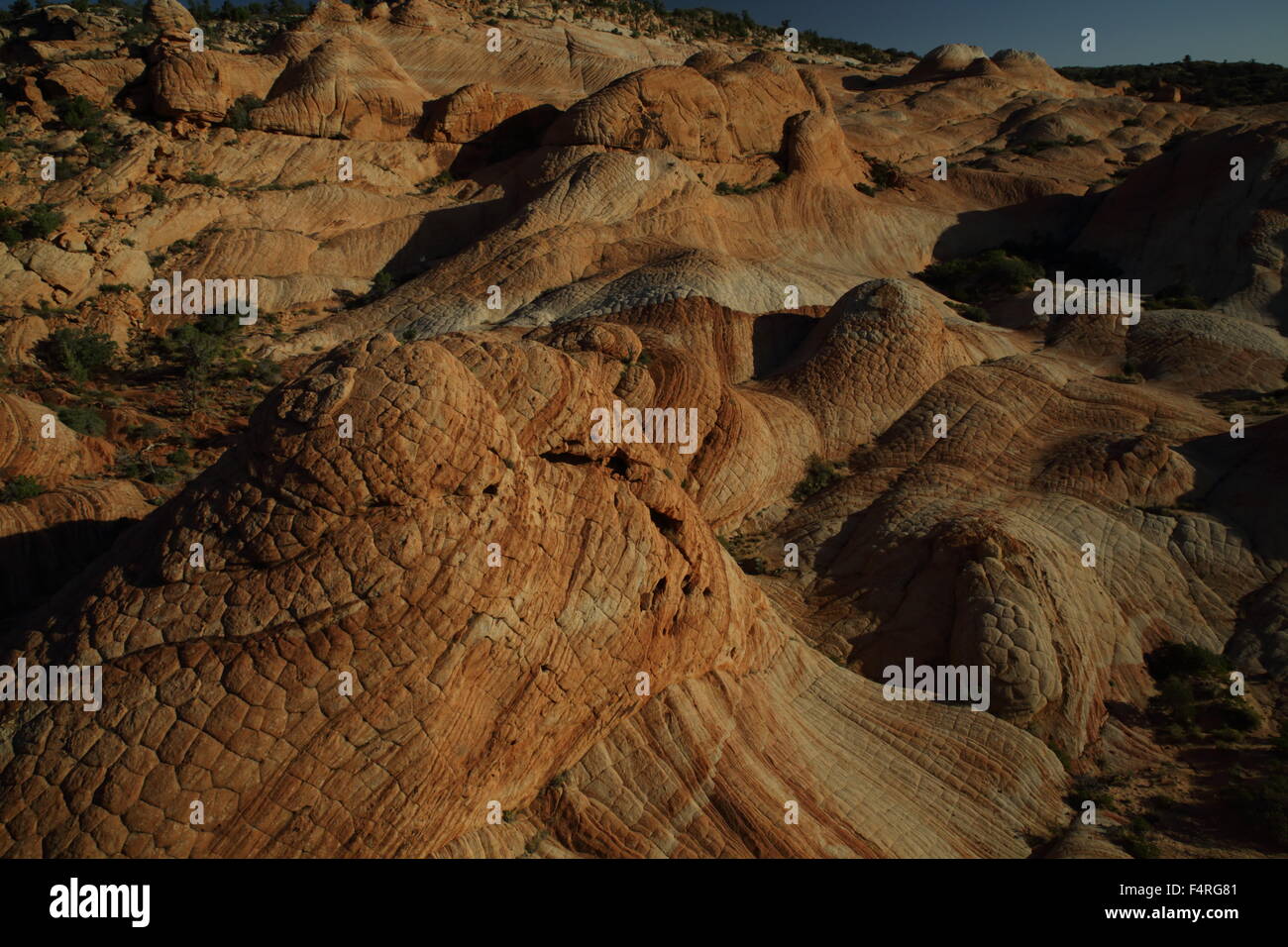Yant Flat - Candy Cliffs Utah Stock Photo - Alamy