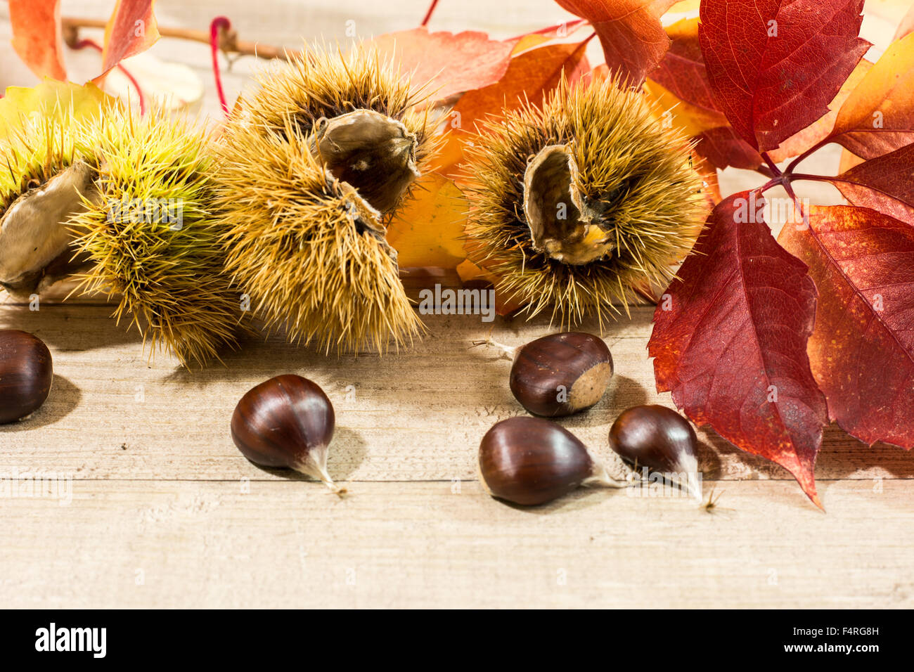 Theme of autumn hi-res stock photography and images - Alamy