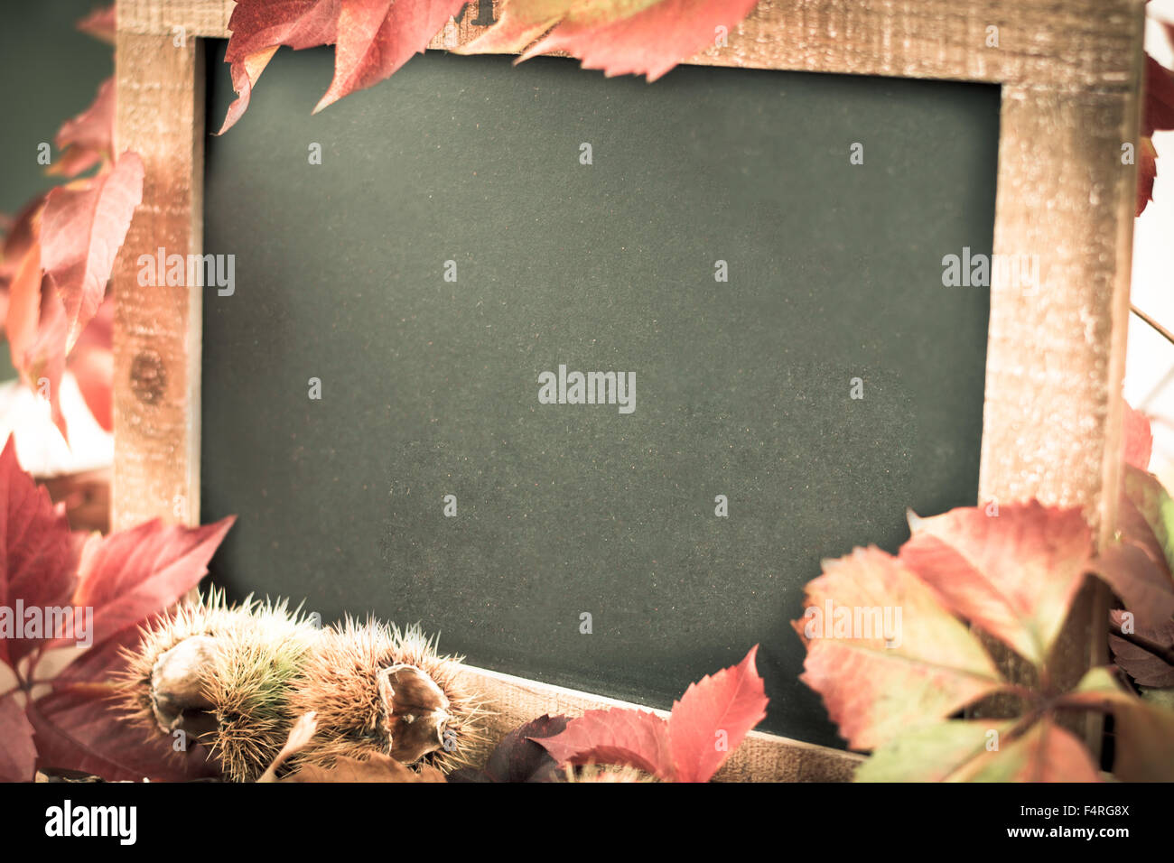 Background slate hi-res stock photography and images - Alamy