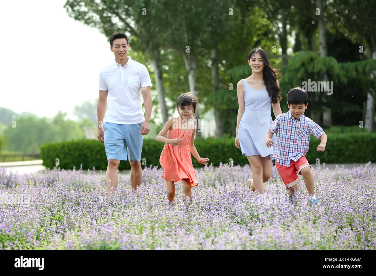 Happy families play in the suburbs Stock Photo - Alamy