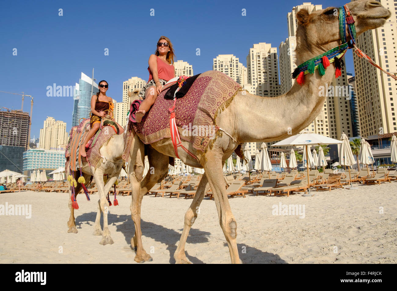 Tourists riding camel on beach at JBR Jumeirah Beach Residences in ...