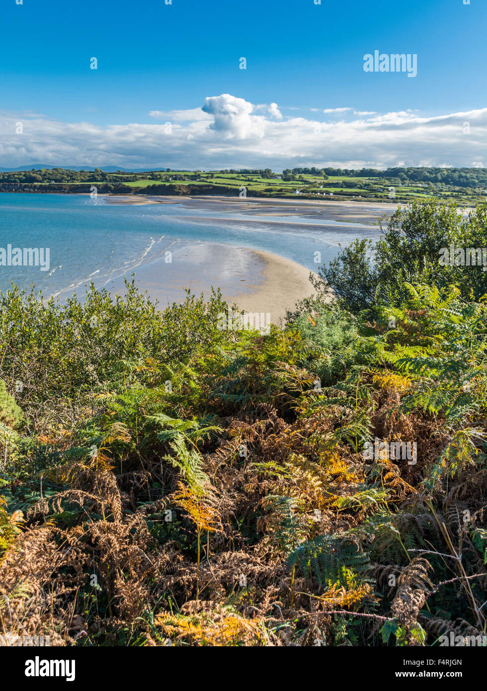 Outgoing tide on Lligwy Bay, Isle of Anglesey, North Wales, UK. Taken ...