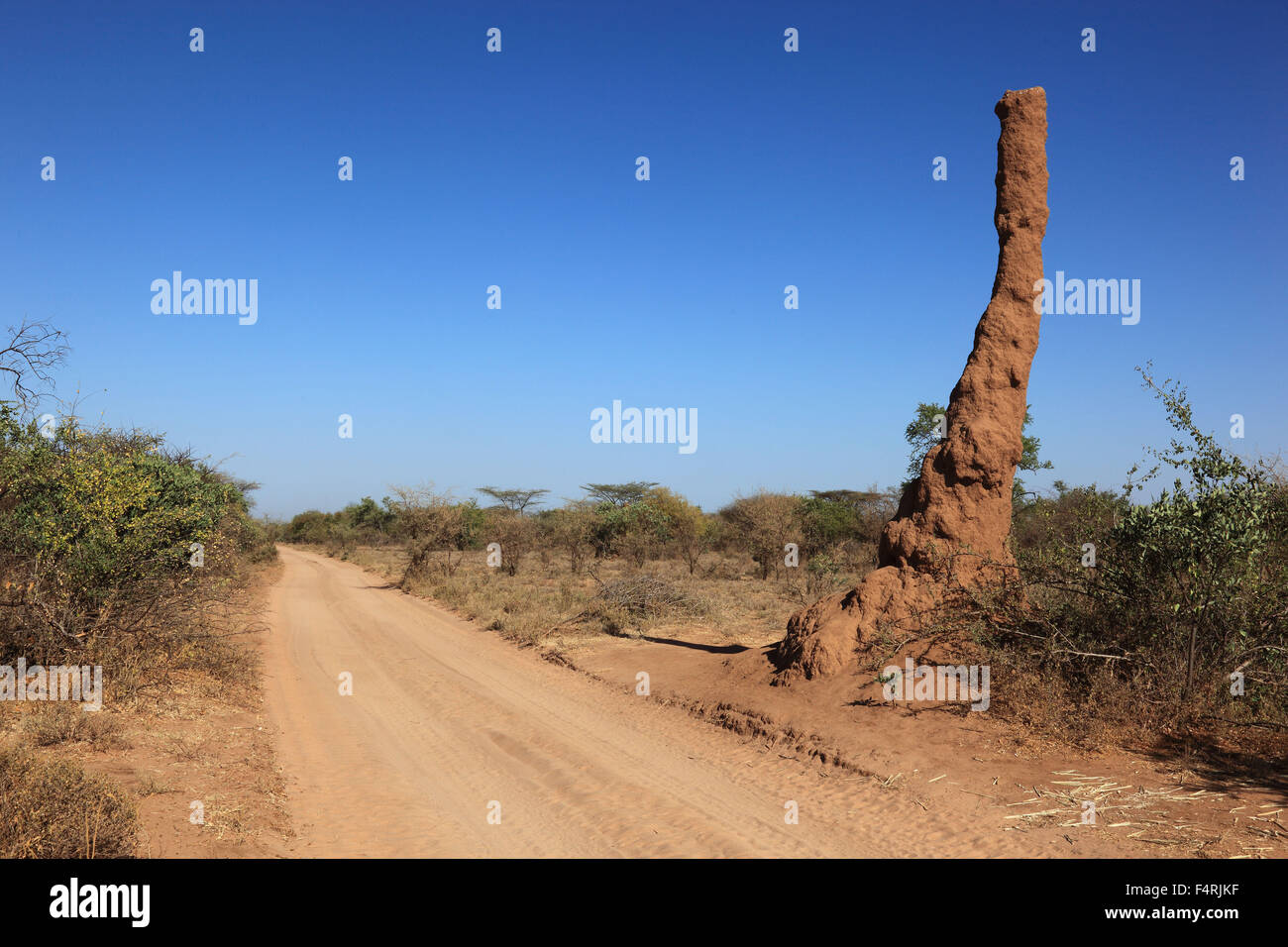 Termite mound africa hi-res stock photography and images - Alamy