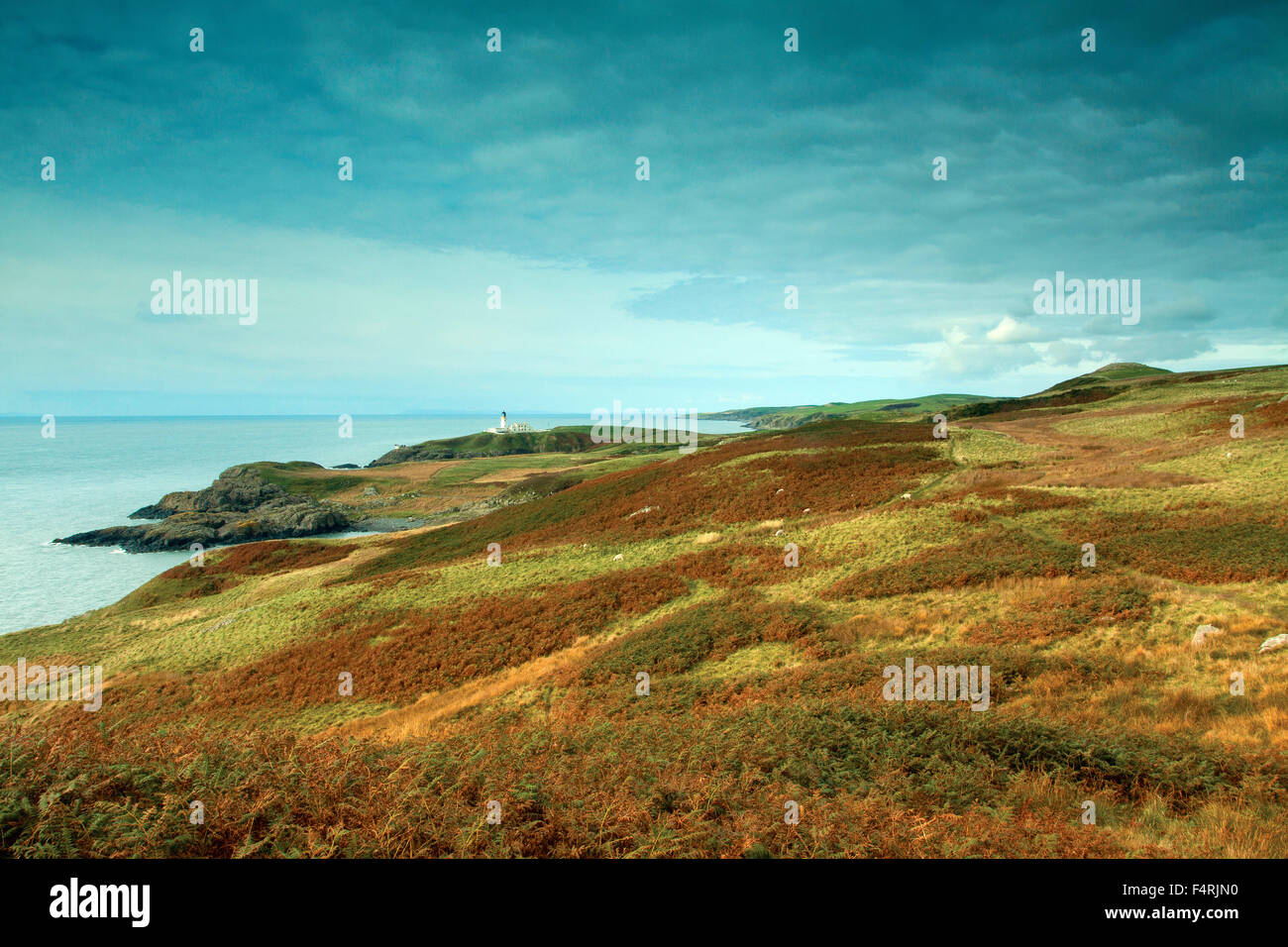 Southern upland way hi-res stock photography and images - Alamy