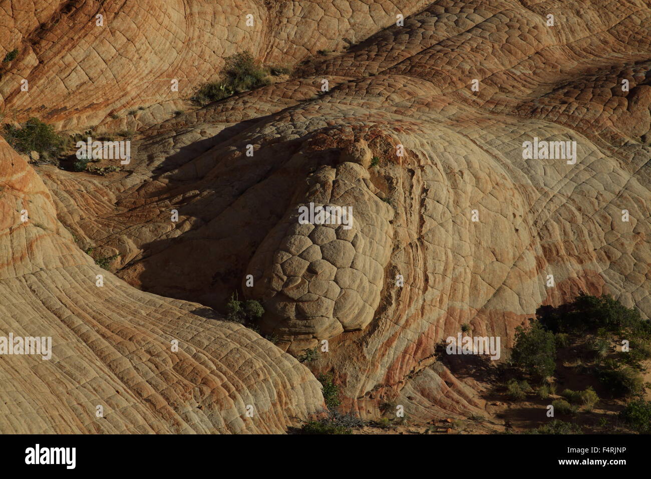 Yant Flat - Candy Cliffs Utah Stock Photo - Alamy