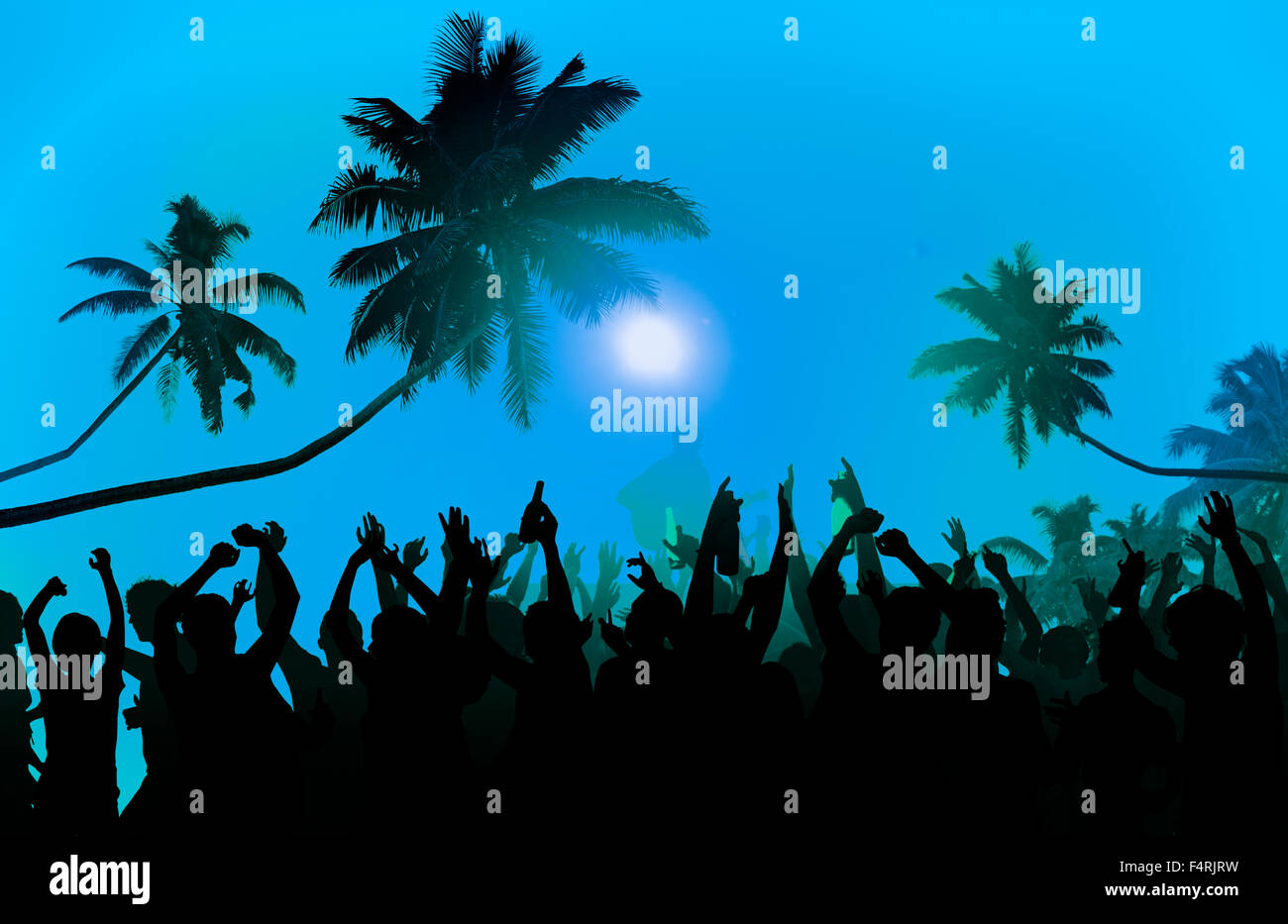 Summer Music Festival Beach Party Performer Excitement Concept Stock ...